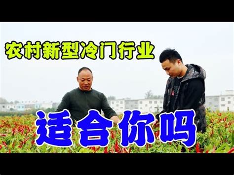 年收入45万的农村加工厂设备投资不到4万操作简单订单不到 YouTube