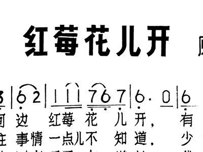 红莓花儿开 歌谱 简谱