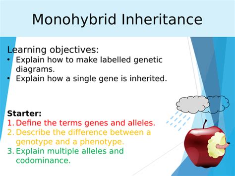 aqa a level biology 17 2 monohybrid inheritance teaching resources