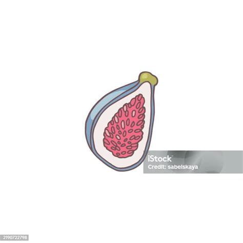 씨앗과 신선한 무화과 과일 반 벡터 아이콘 달콤한 익은 열대 이국적인 과일 건강한 유기농 육즙이 많은 스낵 디저트 0명에 대한 스톡 벡터 아트 및 기타 이미지 Istock