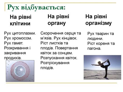 Рух тварин презентация онлайн