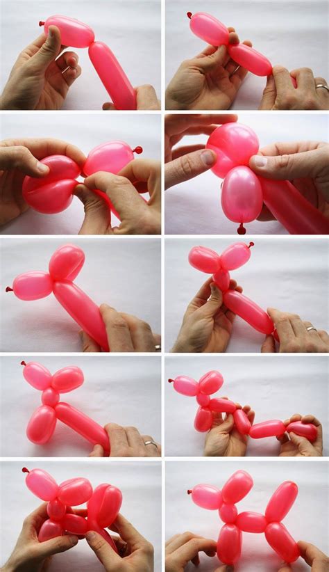 Presunción Correo amor como hacer un perro con globos facil terrorista