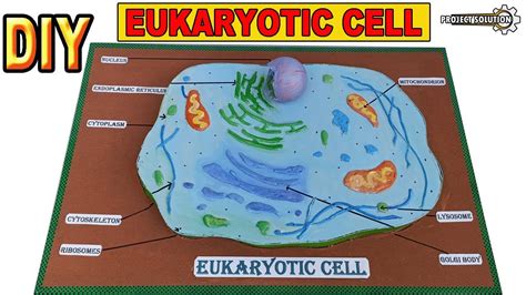 3d Eukaryotic Cell Structure