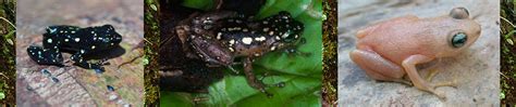 Conflict Ecology Lab