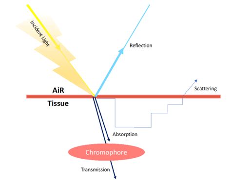 The Phenomena That Can Occur In The Interaction Between Light And Download Scientific Diagram