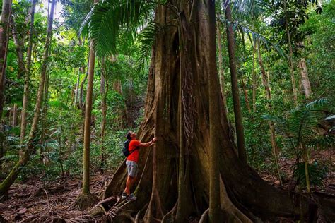 A Simple Guide To Gap Year Travel Sportscover Direct