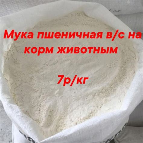 Мука пшеничная в/с на корм животным – купить в Челябинске, цена 7 руб ...