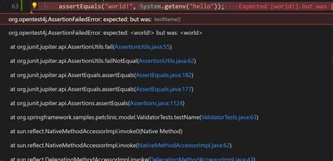 Improve The Test Message View For Multi Line Messages Issue Microsoft Vscode Github