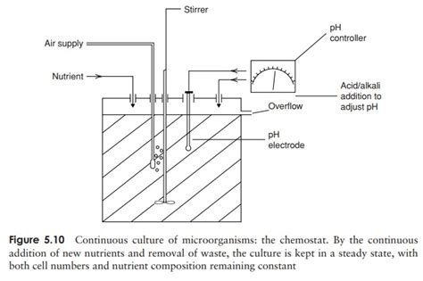 The Kinetics Of Microbial Growth