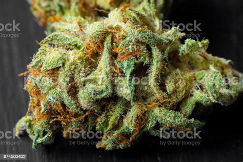 매크로 사진의 마리화나 잎 Trichomes 덮여 콘을 수확 대마초 공장 Clse 보기입니다 0명에 대한 스톡 사진 및 기타