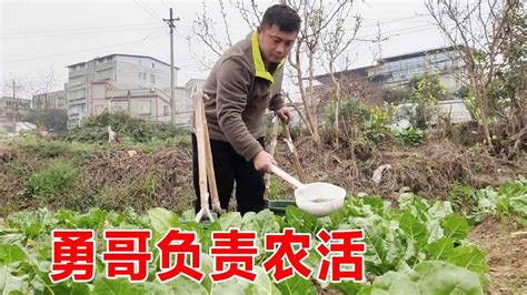 夫妻同心其利断金，勇哥挑水干农活大姐来烧饭，一家人在一起就是幸福！【乡野勇哥】 Youtube