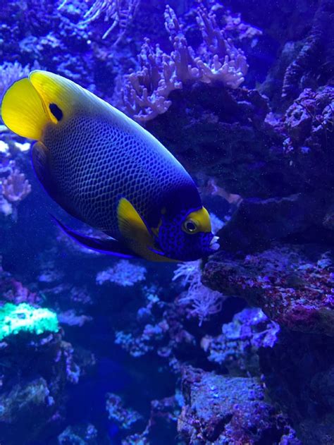 Пин от пользователя Анна Анна на доске Dream🤍