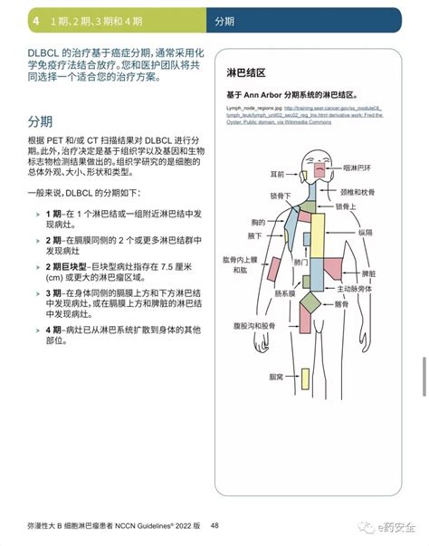 Nccn丨弥漫性大b细胞淋巴瘤患者指南2022版（中文）淋巴瘤细胞患者弥漫性指南 健康界