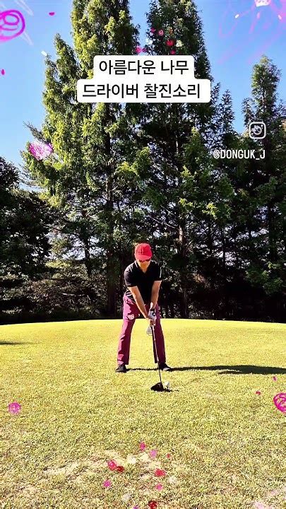 아름다운 나무들이 어울어져서 너무 좋습니다 에딘버러cc 금산 맨발 정동욱 아심보살 키티바지 아저씨 Youtube