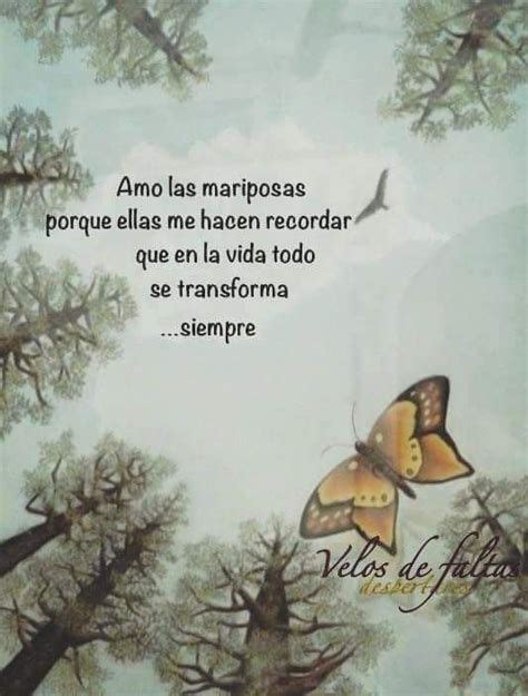 Resultado De Imagen De Amo Las Mariposas Porque Ellas Me Hacen Recordar