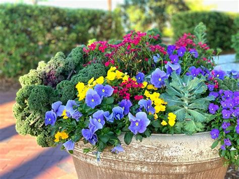 Container Gardening Elements Thriller Filler And Spiller The