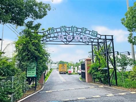 100家！浙江公布首批省级示范“共富工坊”名单澎湃号·媒体澎湃新闻 The Paper