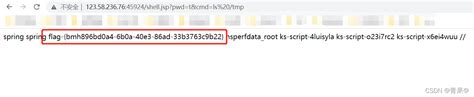 【vulfocus漏洞复现】spring Core Rce 2022 03 29 Csdn博客