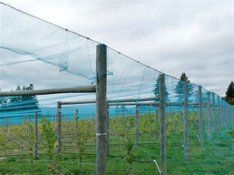 vineyard netting smart net systems industrial netting systems