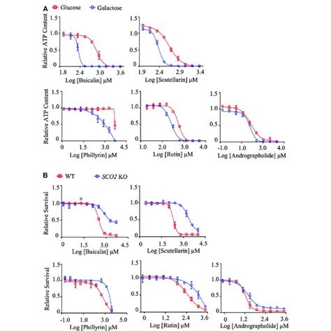 In Vitro Validation Of Mitochondrial Toxicity Of Identified Tcm