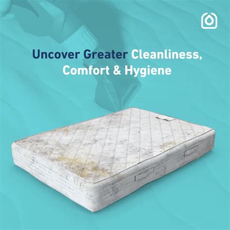 Say Goodbye To Restless Nights And Hello To Freshness 💤dust Off Those… Modern Laundry المصبغة