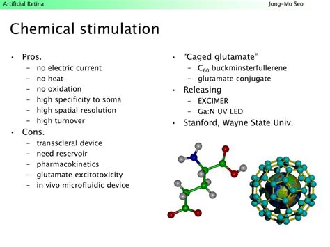 Epi Ret Iip Animal Experiment Ppt Download