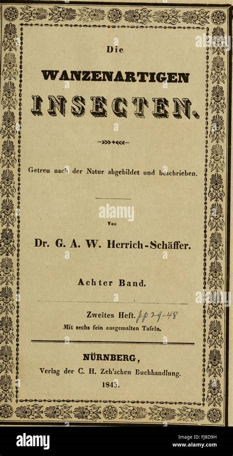 Insects True Bugs Entomology Insect Classification Insect Illustration Early Entomological