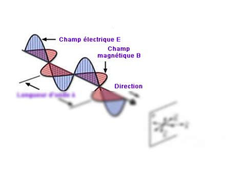 SOLUTION Cours Polarim Trie Studypool