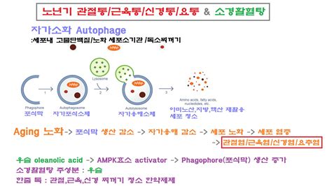 두 달전에 대상포진을 앓았던 환자인데 아직까지 가벼운 통증과 가려움때문에 피부과를 방문해서 가바펜틴과 항히스타민제 처방을 받고