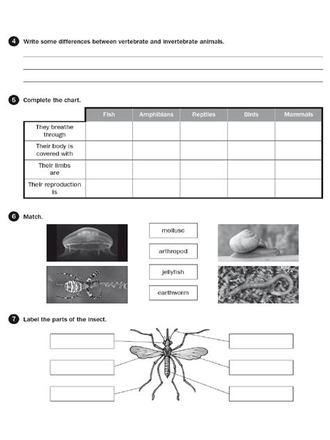 Classification Of Living Things Worksheets 5th Grade Pdf