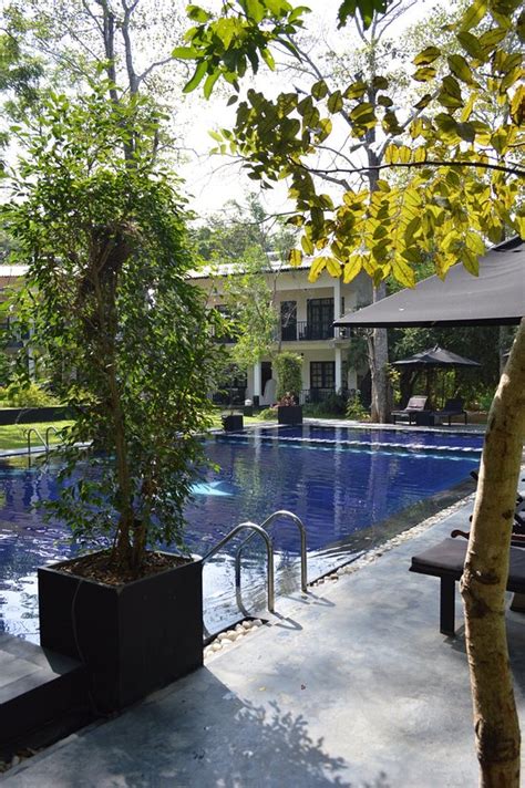 Hotel Flower Garden Eco Village Sigiriya Best Flower Site