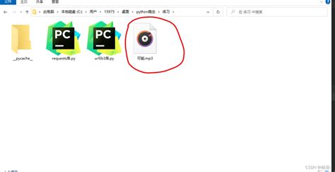 Python爬虫之request库的使用（友好版）python的request Csdn博客