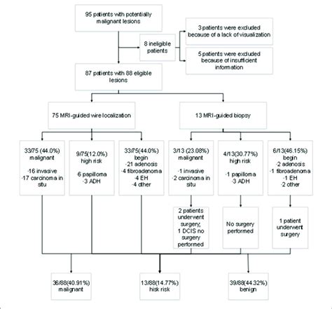 Flowchart Of Lesion Outcomes Download Scientific Diagram