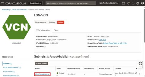 Use Oracle Cloud Infrastructure DNS To Resolve Native Domains