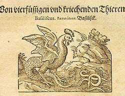Cockatrice CreationWiki The Encyclopedia Of Creation Science