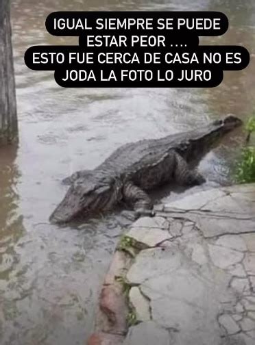 Cinthia Fernández Sufrió Una Inundación En Su Local Y Se Mostró Indignada “me Llevan Los