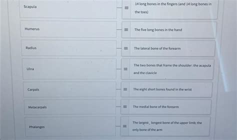 Solved Appendicular Skeleton Upper Limb And Pectoral Girdle Chegg