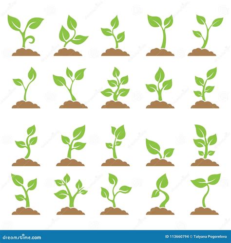 Set Of Planted Seedlings In The Ground Icons Stock Vector Illustration Of Growth Natural