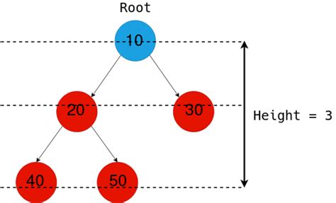 C C における二分木の高さ Blog Silicon Cloud