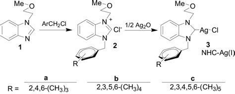Scheme 1 The Synthesis Of Benzimidazolium Salts 2ac And Nhcagi