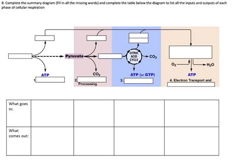 Solved Complete The Summary Diagram Fill In All The Missing Words