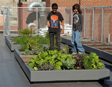 Check Out Our Rooftop Garden Pascales Classroom Page