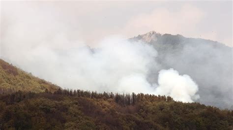 Има много вътрешни огнища на пожара в района на Илинденци Новини бг