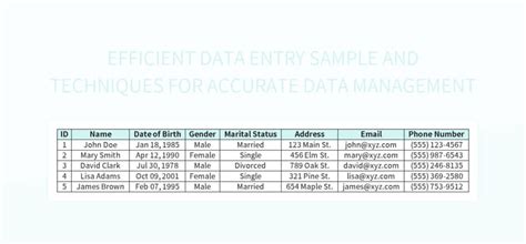 Efficient Data Entry Sample And Techniques For Accurate Data Management Excel Template And
