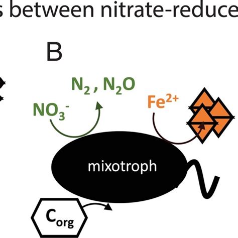 Overview Of The Three Different Types Of Interaction Between Download Scientific Diagram