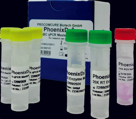 Real Time Pcr
