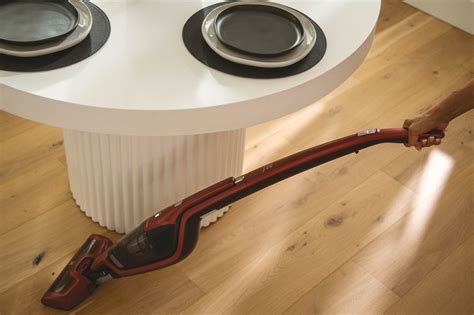 Ergorapido™ Pet – Homeco Plus | Appliances, Cabinets and much more…