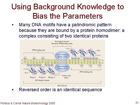 Learning Sequence Motif Models Using Gibbs Sampling Bmics