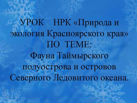 Фауна Таймырского полуострова и островов Северного Ледовитого океана