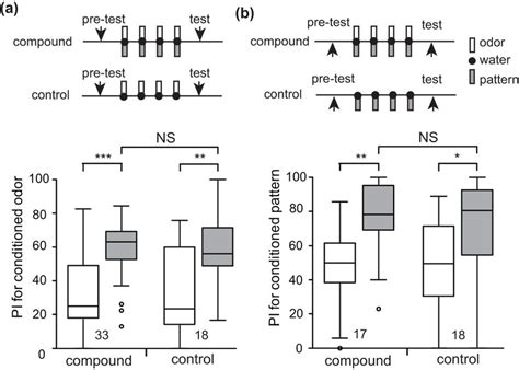 Effect Of Odor Pattern Compound Conditioning A Olfactory Learning By